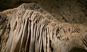 Carlsbad Caverns, New Mexico Facts and Tips – Blue Eyed Compass