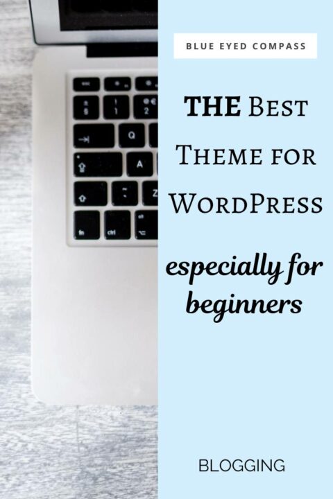 Best WordPress theme, the Divi Builder – Blue Eyed Compass