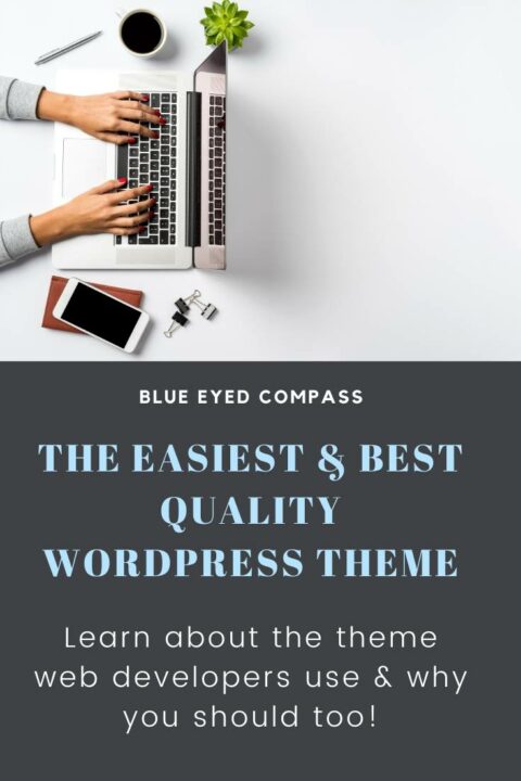 Best WordPress theme, the Divi Builder – Blue Eyed Compass