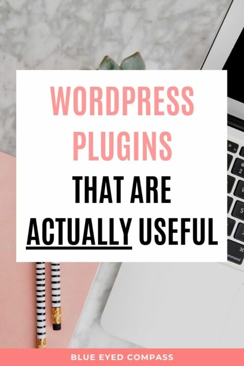 Which WordPress Plugins do you actually need? – Blue Eyed Compass